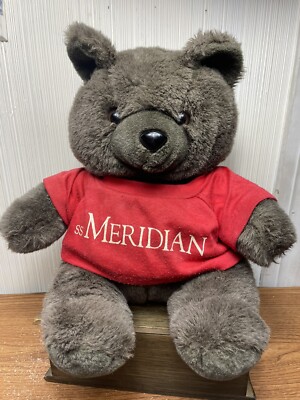 1990s RARE SS Meridian (SS Galileo Galilei) Teddy Bear Plush Sunken ...