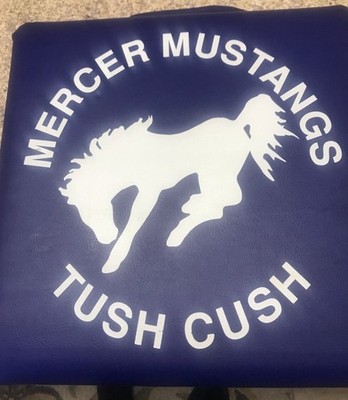 Mercer PA HIGH SCHOOL Pennsylvania Mustang logo Bleacher Seat Tush ...