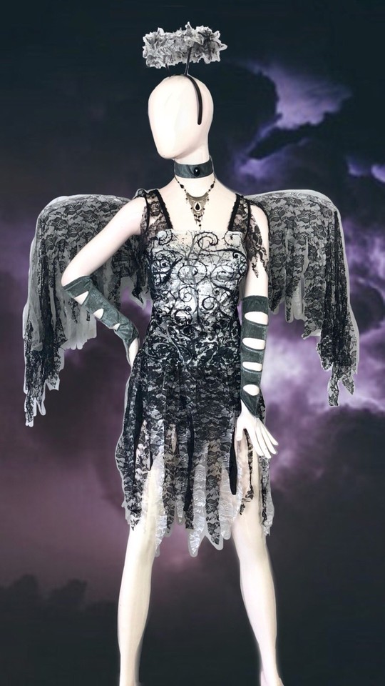 7 PC Dark FALLEN ANGEL COSTUME Set Gothic Lace WINGS Halo Dress GLOVES ...