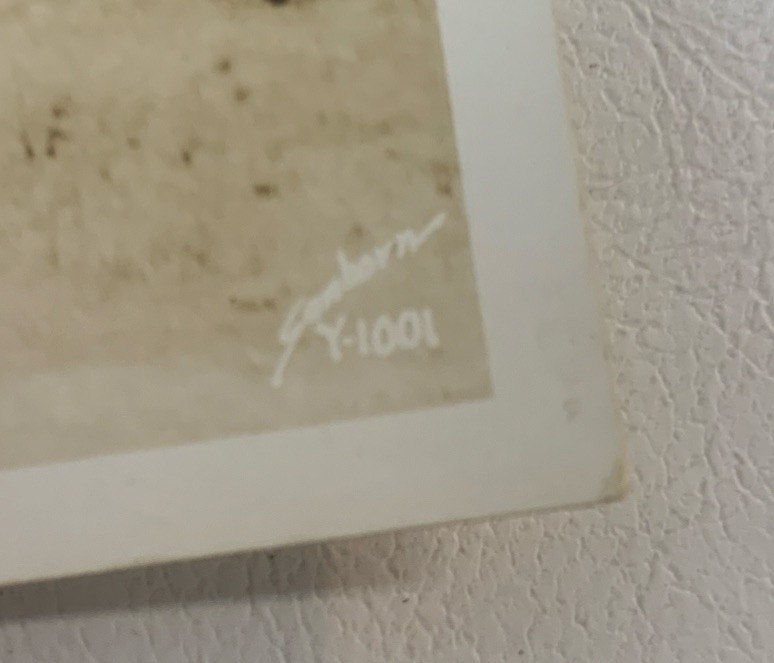 Having A Good Time In Yellowstone, Bears fornicating Sanborn RPPC Real ...