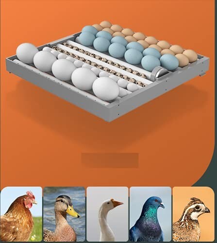 192 egg incubator, hatcher /commercial hatching machine, drawer type ...