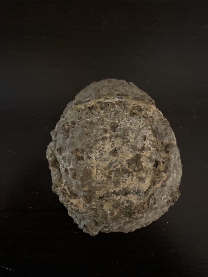 POLISHED "THUNDEREGG HALF" ~ BLUE/WHITE FORTIFICATION BANDING | eBay