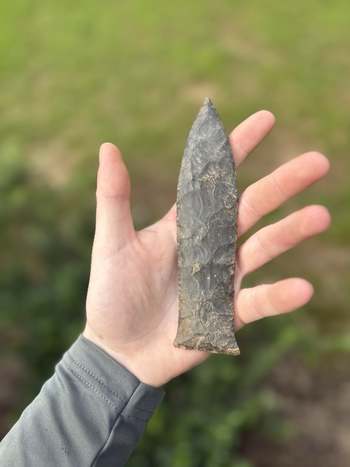 Native American Arrowhead copena point | eBay