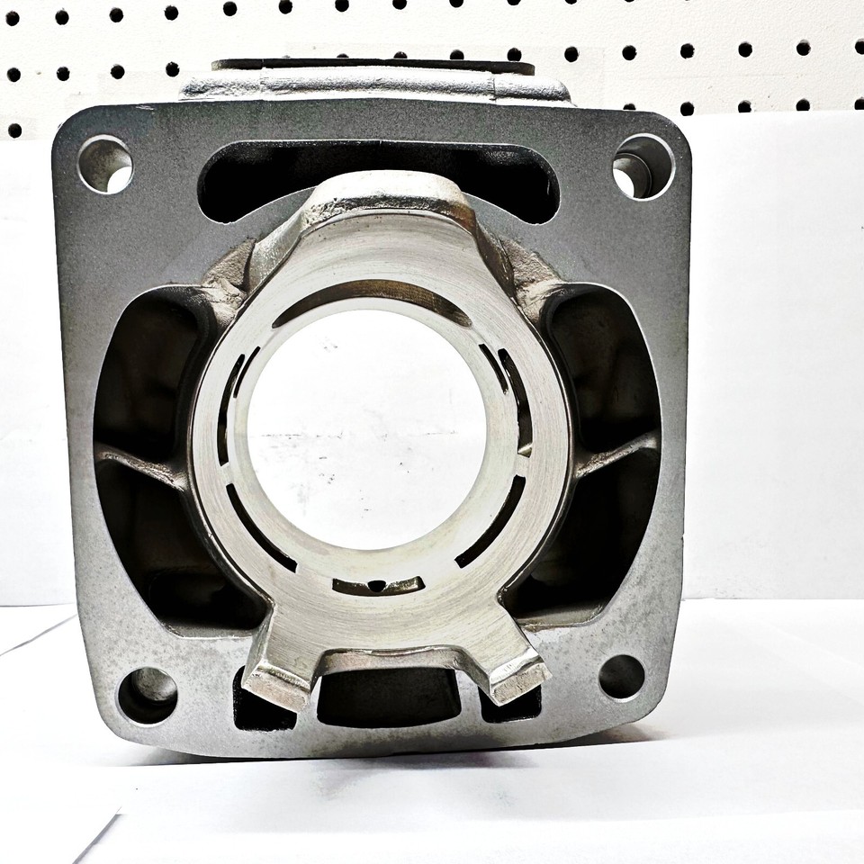 Replated Arctic Cat 800 Cylinder 1904-003 M8000 XF8000 2018-2019 Sno ...