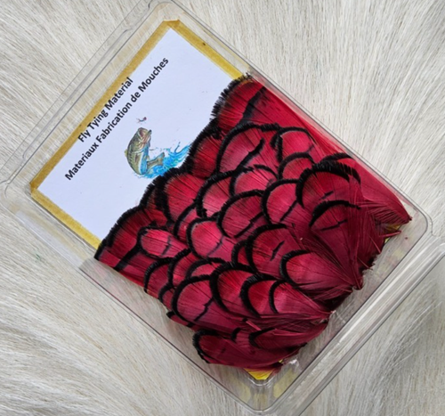 Lady Amherst Feathers. Fly Tying Feather. Color; Red.. Grade "A" | eBay