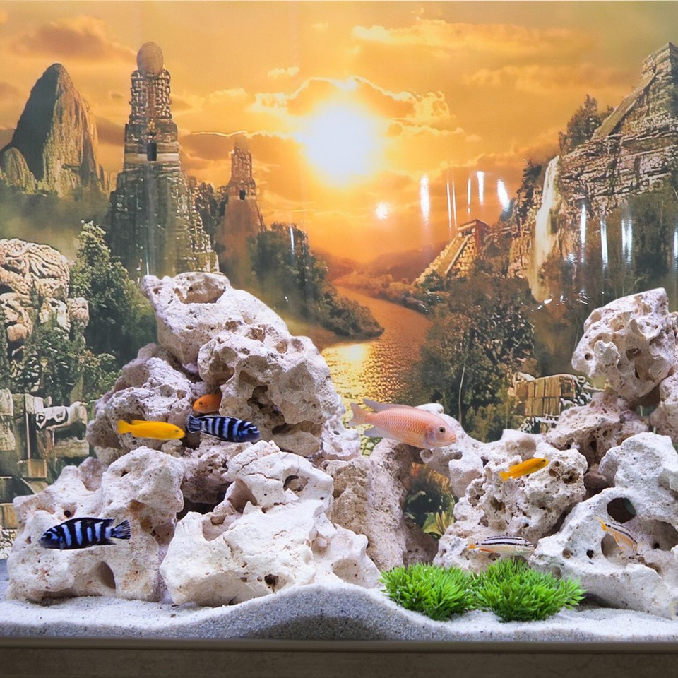 1Pc Fish Tank Decorative Sticker 3D Aquarium Background Painting ...