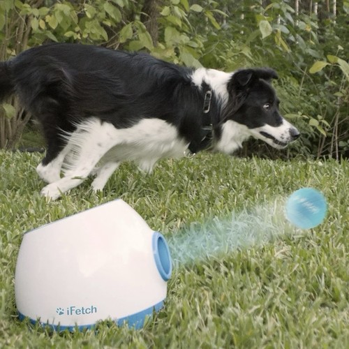 iFetch Too Automatic Ball Launcher For Large Dog Breeds Throw Play ...