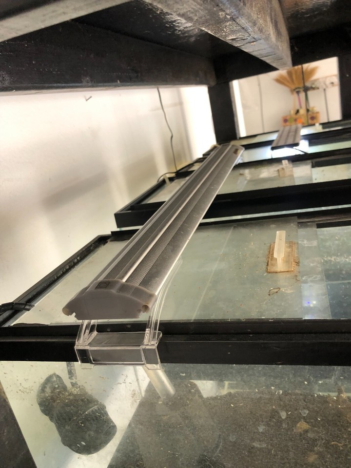 Fish and Shrimp Breeding Rack with 12 10-gallon tanks, lights, and more ...