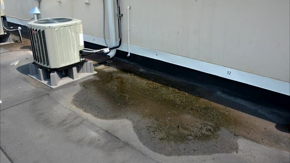 Henry 887 Tropi-Cool White 100% Silicone Waterproof Roof Coating Sealer ...