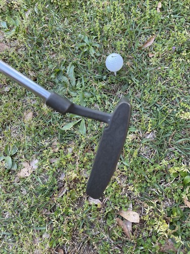 Vintage Original Rare Ping Anser Putter Has Original Ping Grip & patina ...