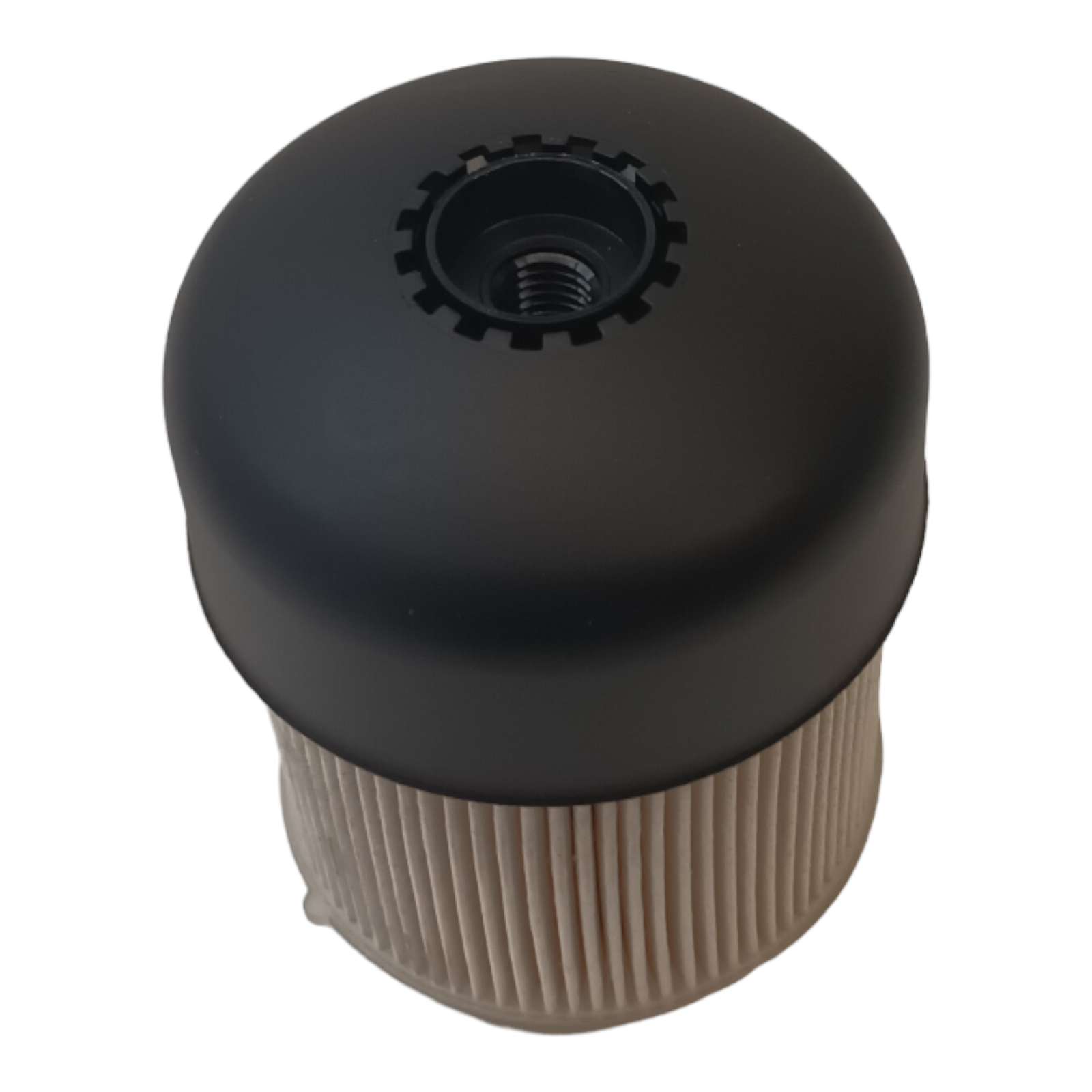 Renault Fuel Filter 164031581R (Captur, Clio, Kangoo) | eBay