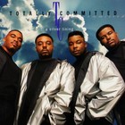 Totally Committed - A Silver Lining (CD, Album) (Very Good Plus (VG+ ...