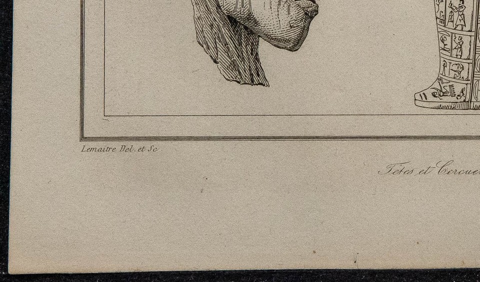 1839 - Heads & Sarcophagi Of Egyptian Mummies, Antique Engraving ...