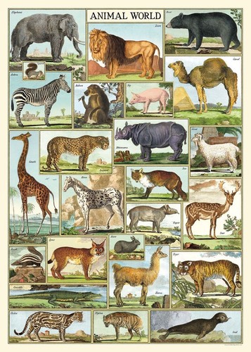 Cavallini & Co. Animal World Poster, Archival Paper, Matte | eBay
