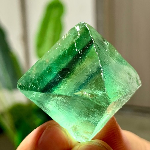36G Natural green fluorite octahedron quartz crystal healing | eBay