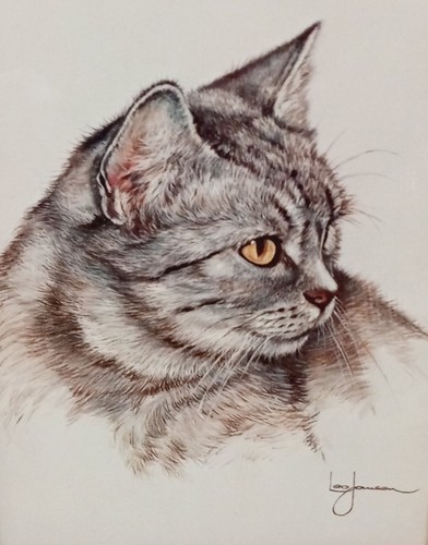 Leo Jansen Print Tom Cat Portrait Framed Signed 8"x 6" Kitty Grey ...