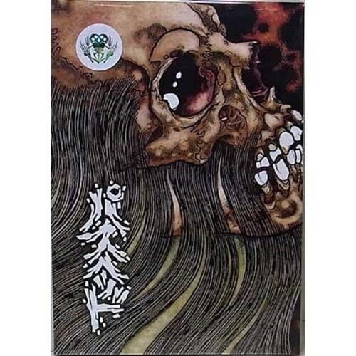 PUSHEAD ASTRO ZOMBIES SKULL WING: Artwork Book New, Collectible Art ...