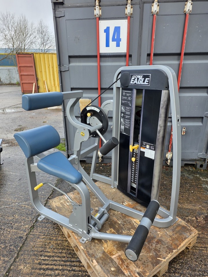 Cybex Eagle Lower Back Extension Machine Commercial Gym Equipment | eBay UK