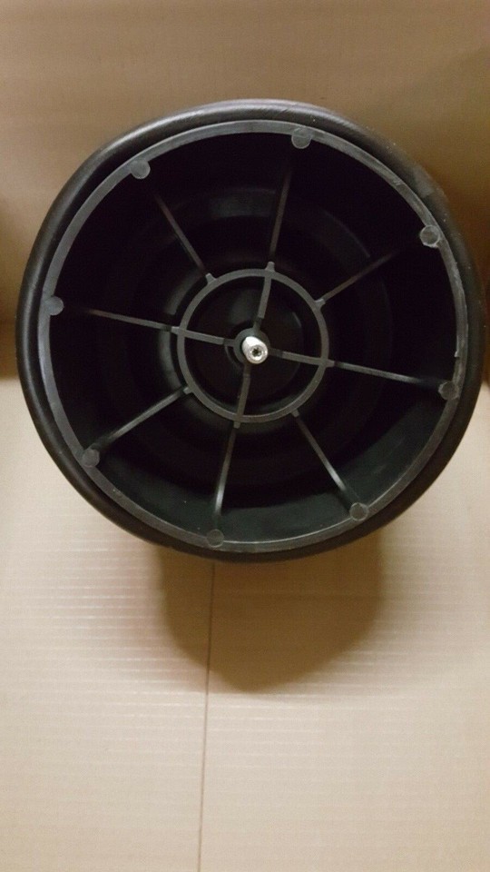 S21800 | 1 Year"