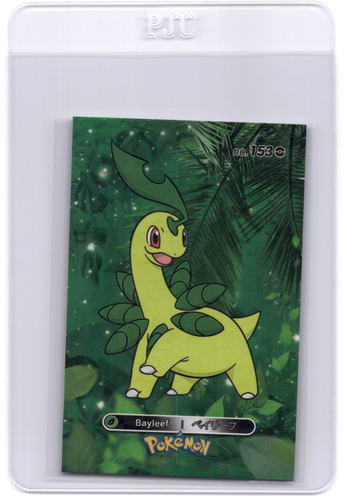 BAYLEEF Pokemon Attack Database/2 | eBay