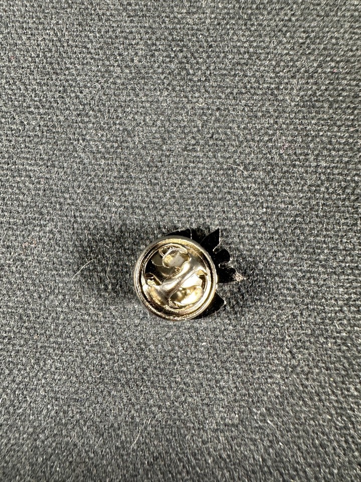 BSA Boy Scout National Eagle Scout Association NESA Life Pin | eBay