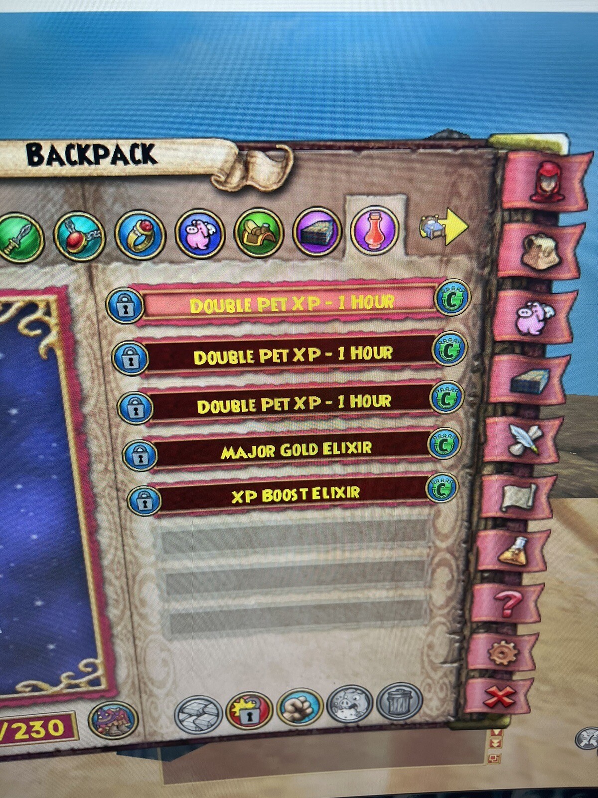 wizard101 account | eBay