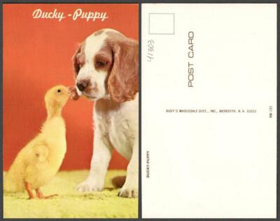 VINTAGE POSTCARD TOPIC: Ducks | eBay