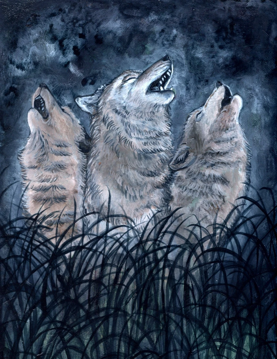 Acrylic Wolf Painting
