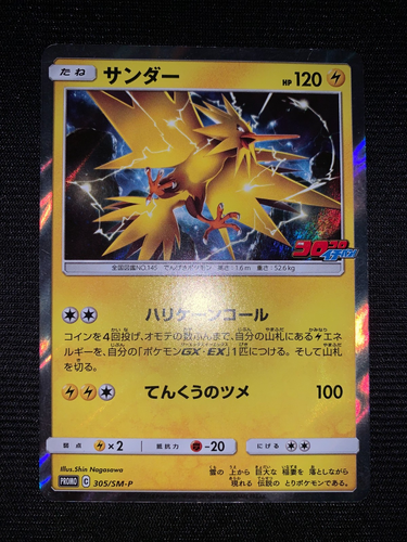Pokemon Card / Carte Elector Promo Holo 305/SM-P | eBay