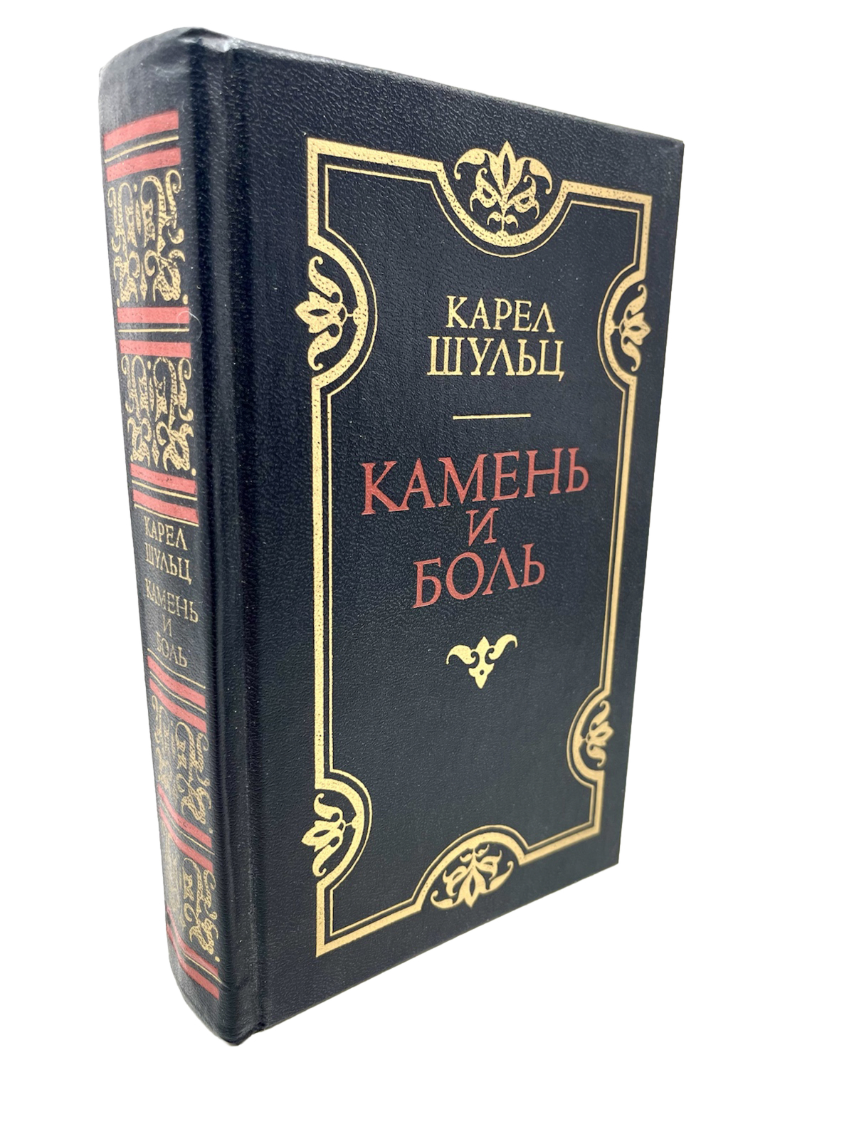 Камень и боль Карел Шульц Karel Schulz Kámen a bolest Stone & Pain ...