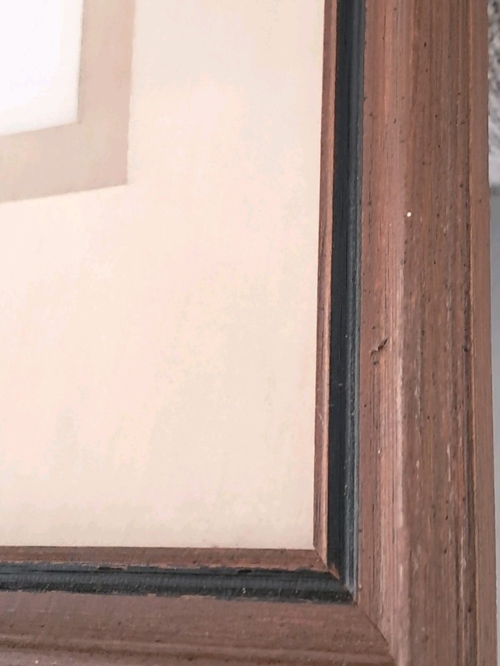 Vin. GUY COHELEACH Lithograph Painting LION HEAD Matted Wood Frame ...