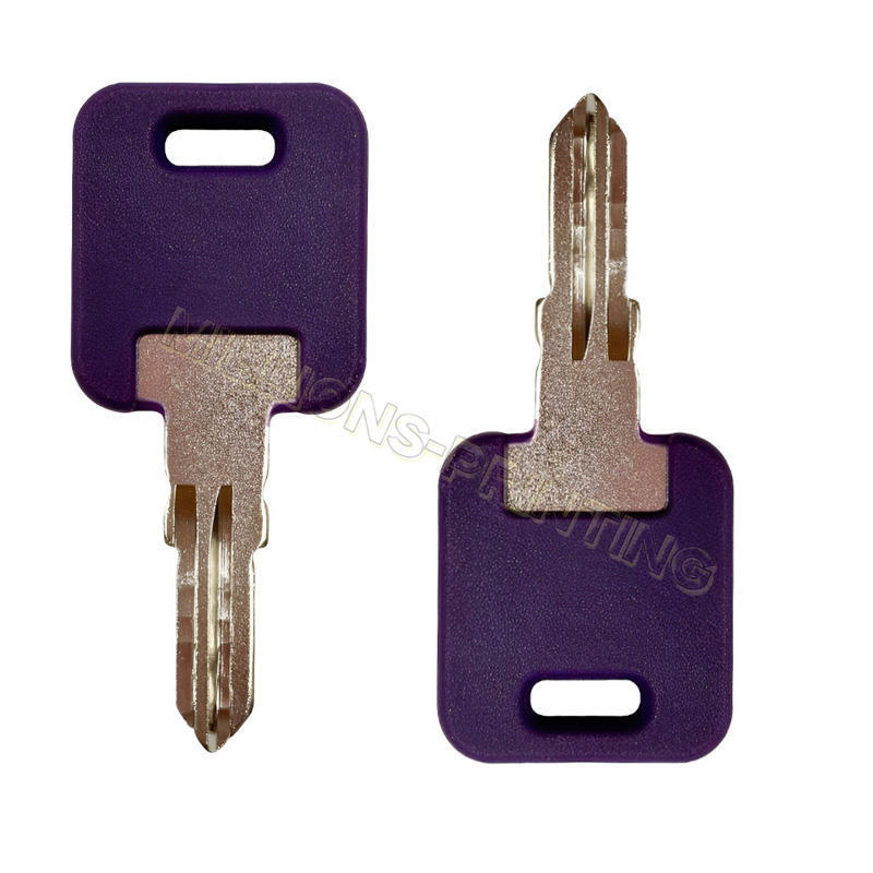1 Pair For Global Link Precut Keys G301 - G391 RV Trailer Camper Blank ...