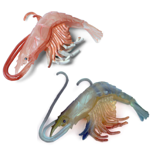 2pcs/set 10cm Krill Prawn Shrimp Fish PVC Toy Ocean Sea Animal Figure ...