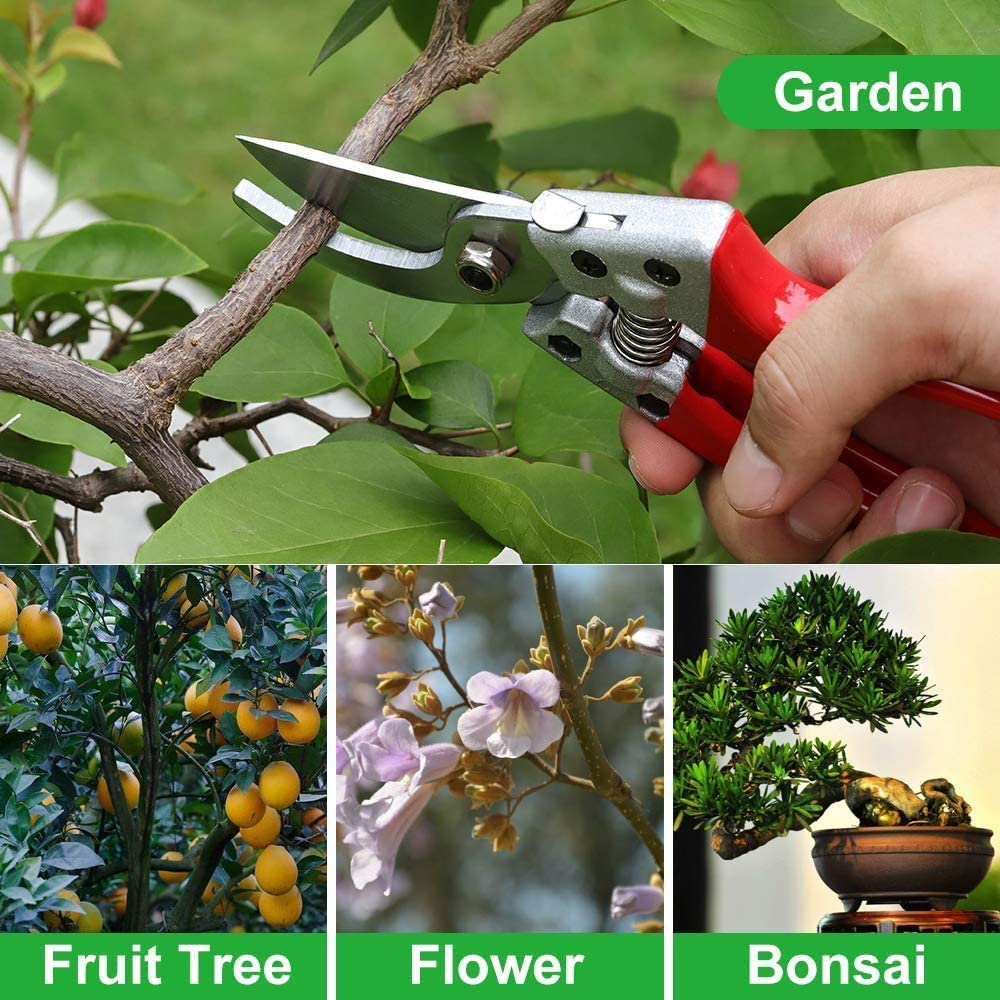 8" Pruning Shears Professional Bypass Garden Shear Hand Pruners ...