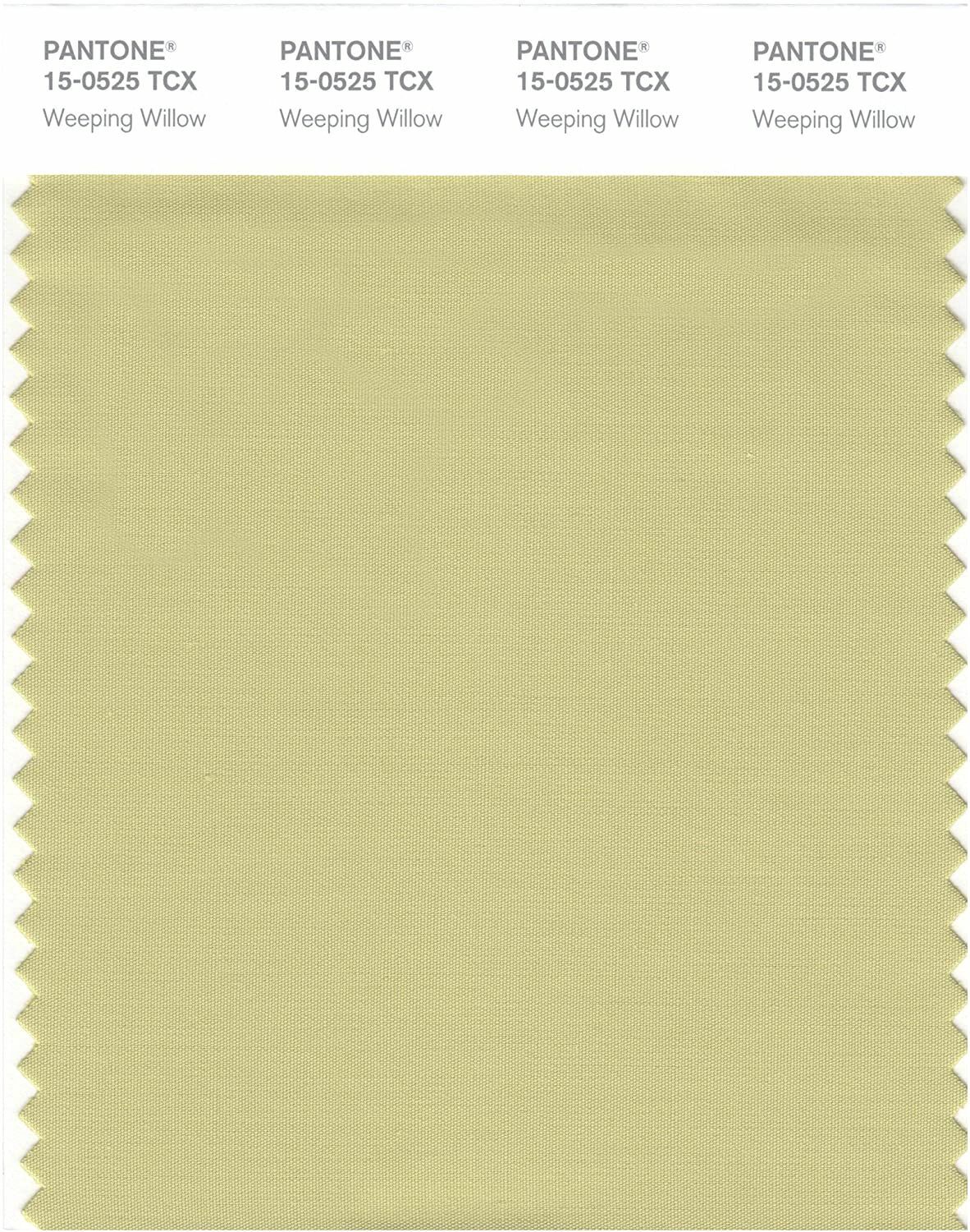 Grapefruit Pantone Tcx