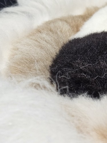 Inca's Inc Alpaca Fur Tapestry Pieced PANDA Picture Wall Hanging Rug 18 ...