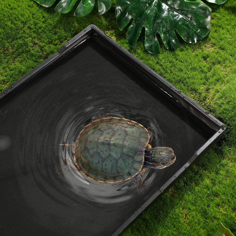 Turtle Food Dish Reptile Feeding Container Reptile Water Bowl | eBay