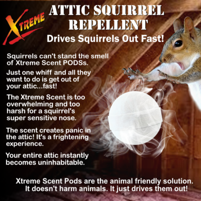 Instant Squirrel Poison