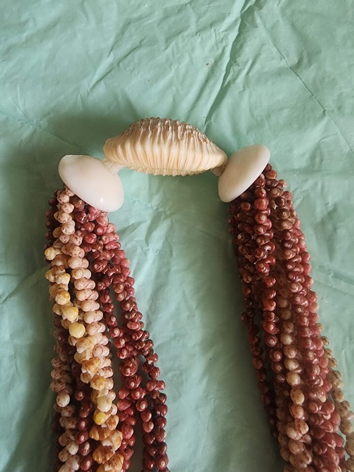 HAWAIIAN 100% NIIHAU 37" 10-STRAND COLLECTORS KAHELELANI SHELL LEI ...