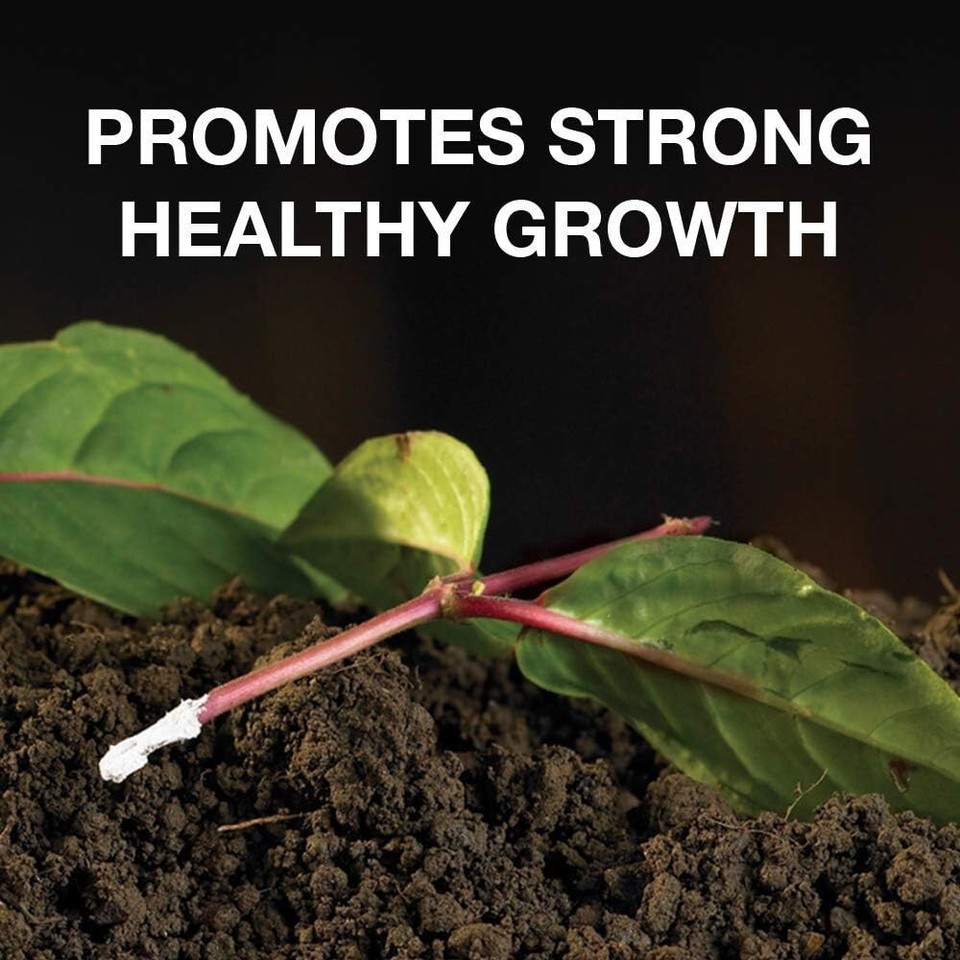 Doff Natural Rooting Powder For Strong Hormone Plants Cutting Healthy ...