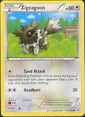 Zigzagoon 111/160 XY - Primal Clash Regular - Pokémon Card | eBay
