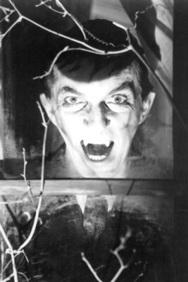 DARK SHADOWS JONATHAN FRID FANGS BARED 24x36 inch Poster | eBay