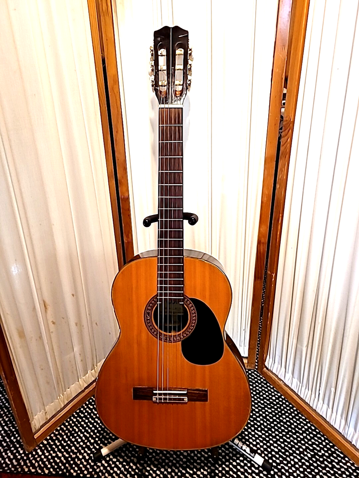 NICE Cort AC-120 Classical Guitar Exotic Coral Rosewood, Spruce, S ...