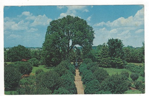 Postcard Chrome Sam Davis Memorial Home Gardens Smyrna TN W. M. Cline ...