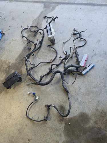 1998 LS1 5.7 V8 Standard T56 Camaro/Trans Am Engine Wiring Harness ...