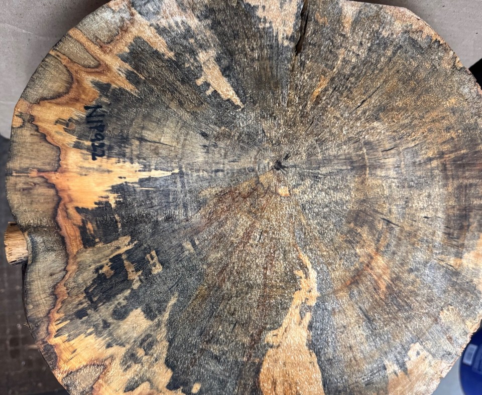Spalted Norfolk Island Pine,charcuterie boards, wood carving #Kam921 | eBay