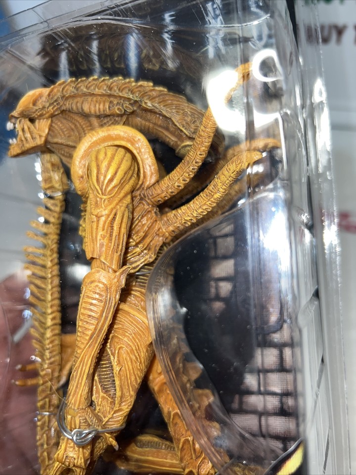 NECA Sewer Mutation Warrior Alien 7" AvP Action Figure Collectible ...