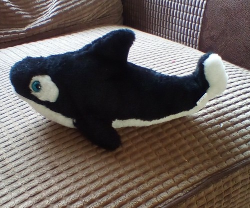Killer Whale Orca Soft Toy From 1990's | eBay