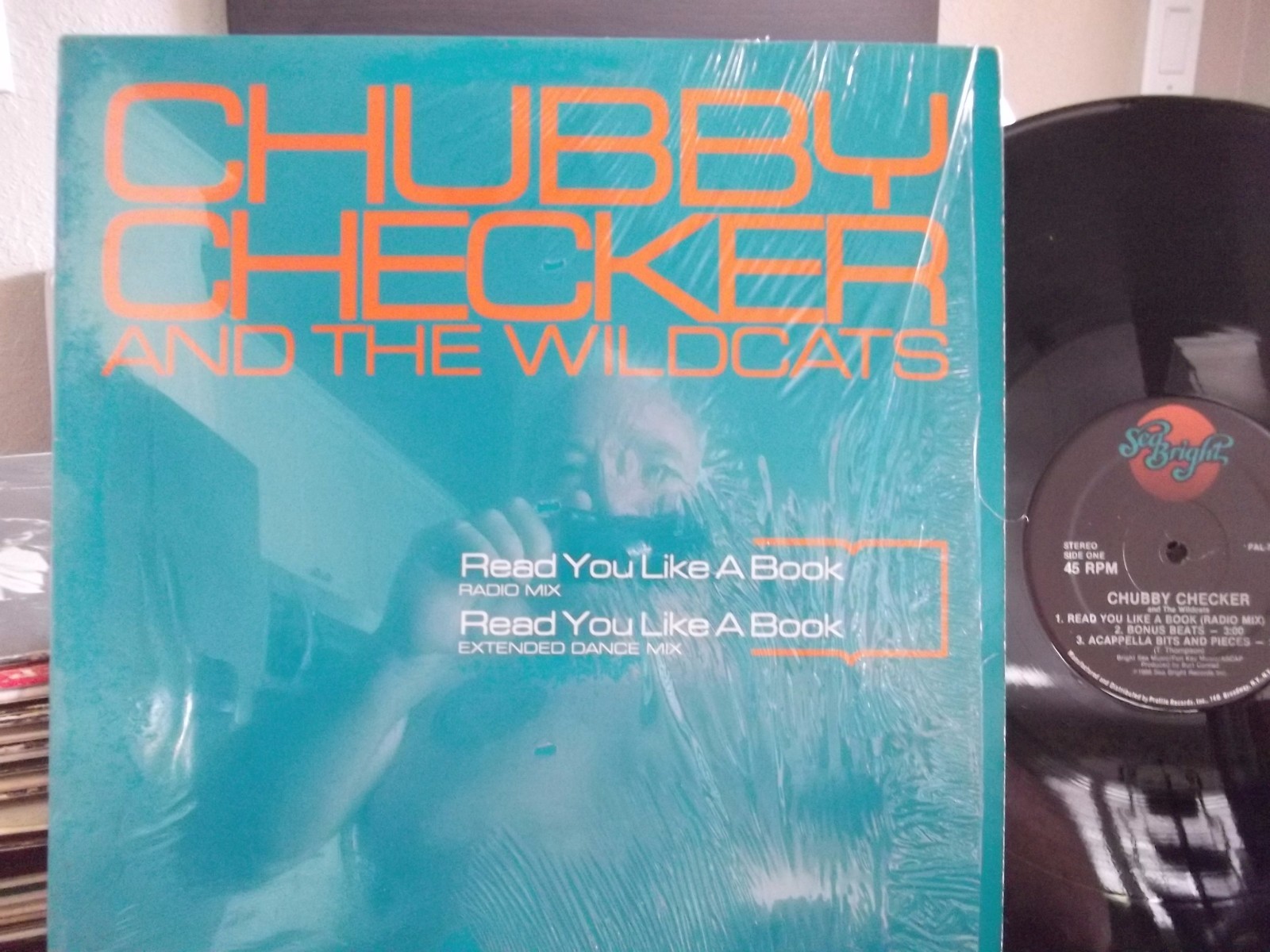 CHUBBY CHECKER AND THE WILDCATS 12" READ YOU LIKE A BOOK IN SHRINK | eBay