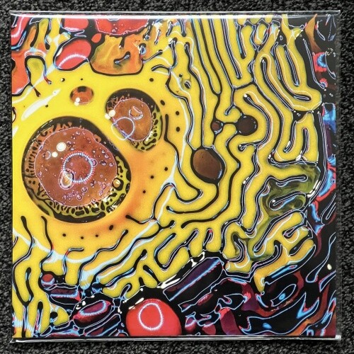 MOY The Phenomenon Of Memory 2x LP NEW VINYL Moy Music | eBay